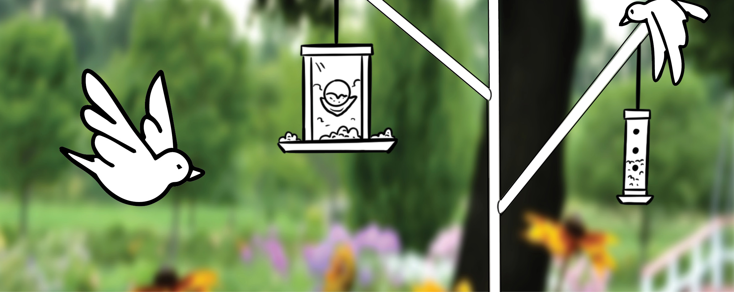 Fine dining: Summer bird feeding ideas - Busi Outdoor Products